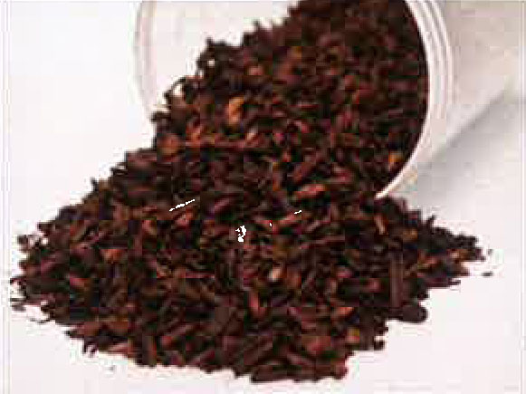 Biomass roasted BioCal | ecological fuel for heavy industry